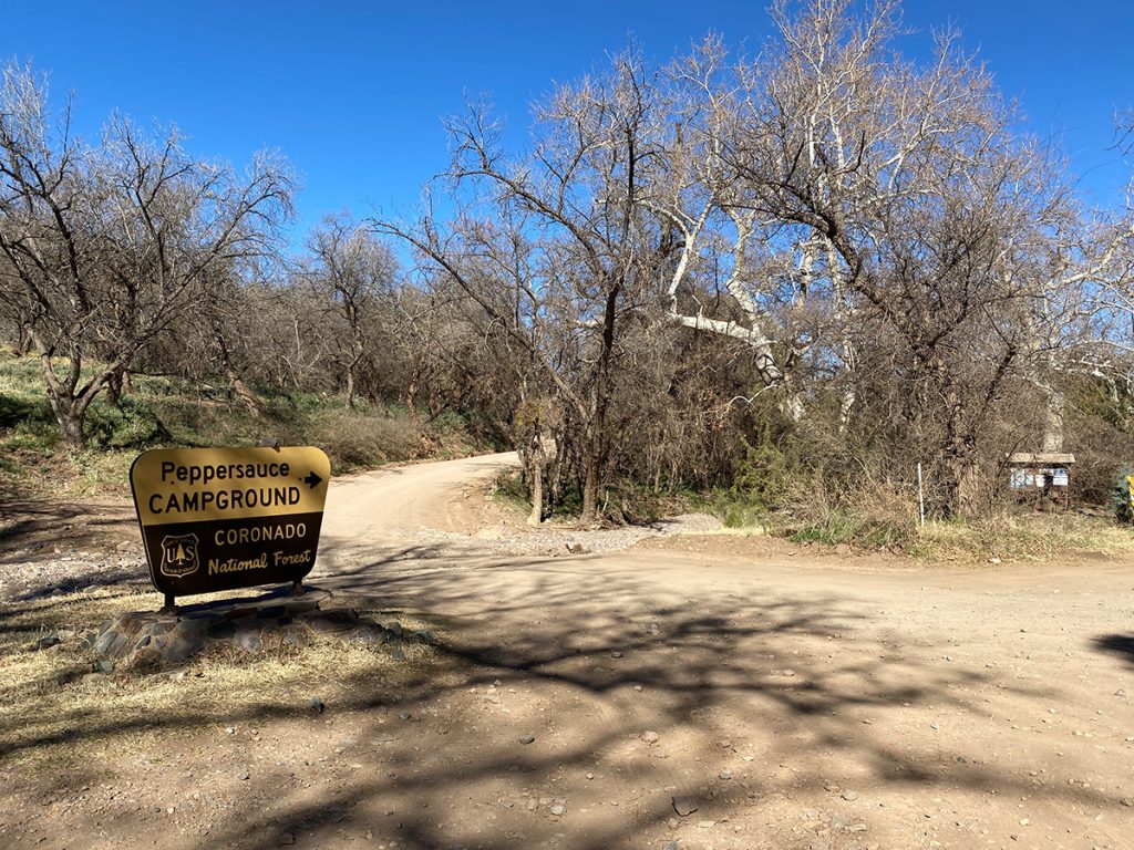 Rice Peak through FR 29 and Camping – J2D Explore